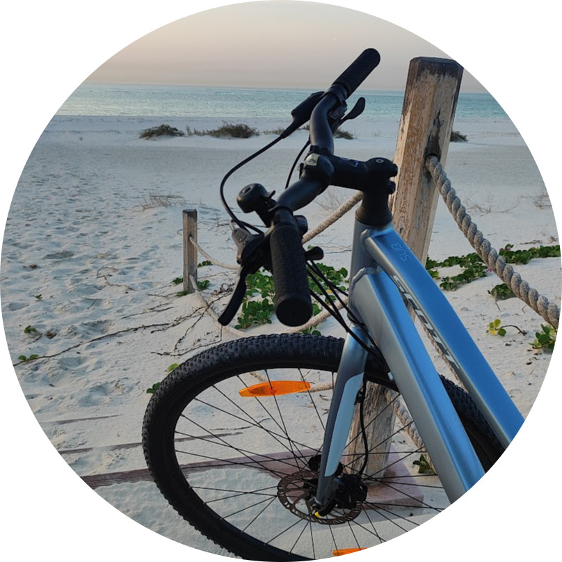 Cycling Guide for NYUAD students